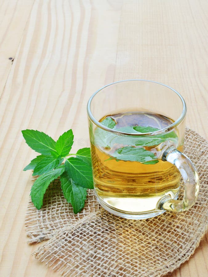 Mint tea stock photo. Image of medicine, glass, herbal - 55714794