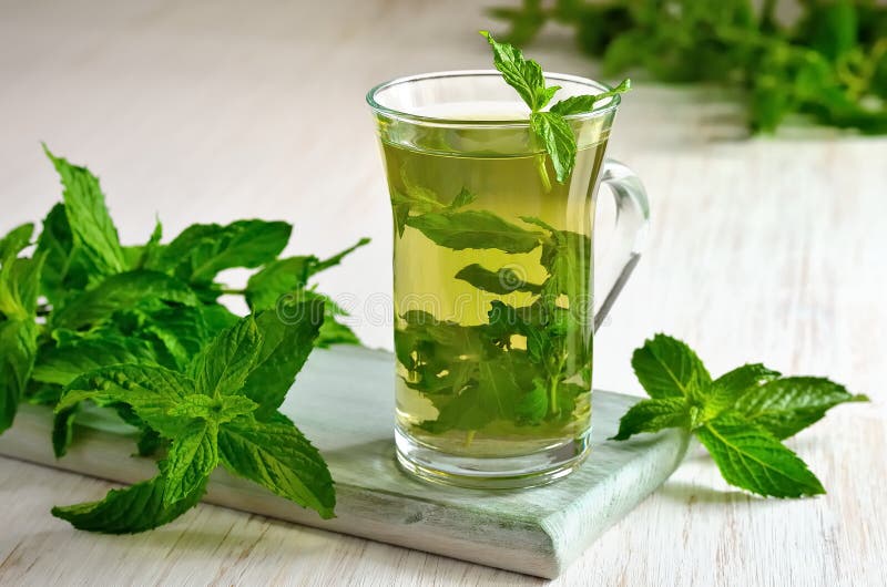 Mint tea stock photo. Image of beverage, drink, refreshment - 17121264