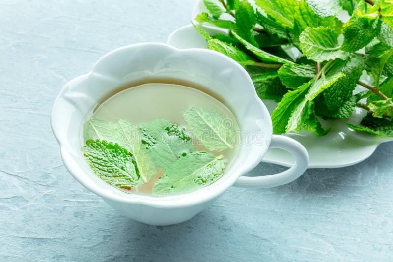 Mint Tea. a Cup of Peppermint Tea with Fresh Mint Leaves Stock Image ...