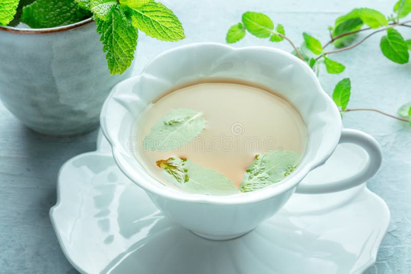 Mint Tea. a Cup of Peppermint Tea with Fresh Mint Leaves Stock Image ...