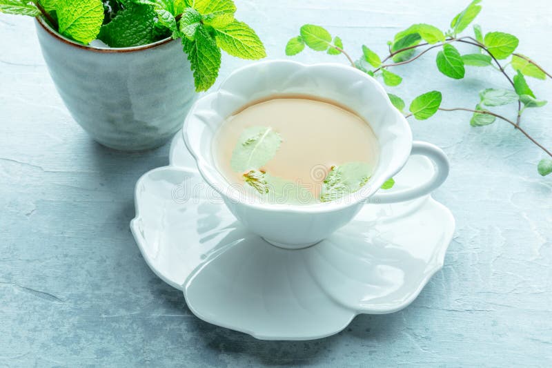 Mint Tea. a Cup of Peppermint Tea with Fresh Mint Leaves Stock Image ...