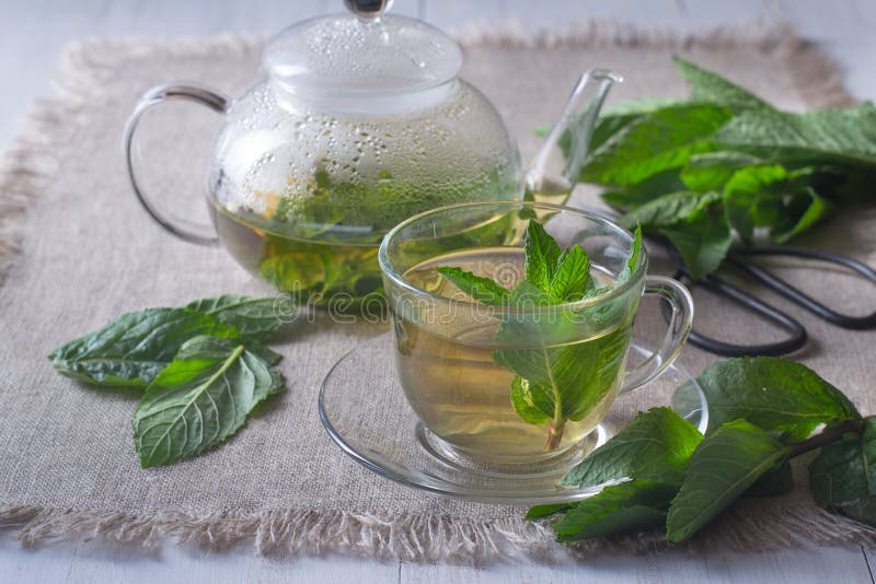 Mint tea stock photo. Image of healthy, leaves, leaf - 193499960