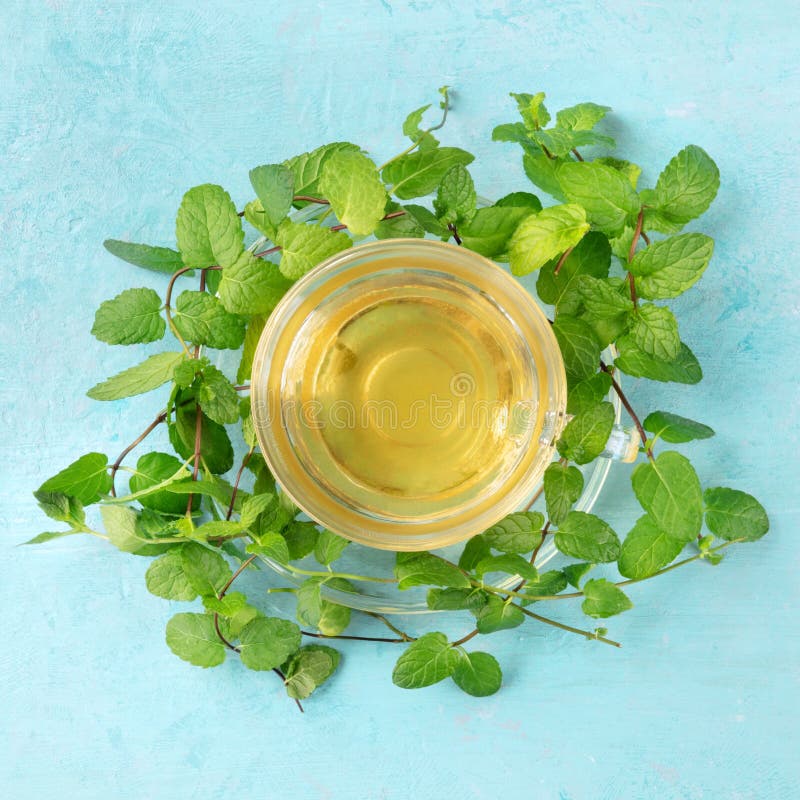 Mint Tea Cup, Shot from the Top on a Blue Background with Vibrant Fresh ...