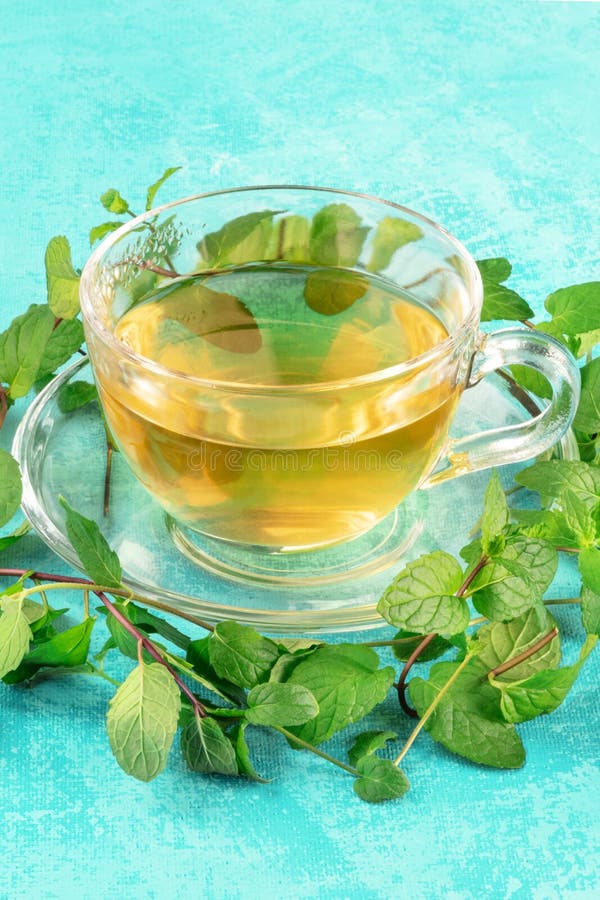 Mint Tea Cup on a Turquoise Background with Fresh Mint Leaves Stock ...