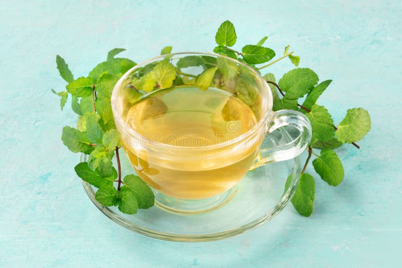 Mint Tea Cup with Vibrant Mint Leaves Stock Image - Image of herb ...