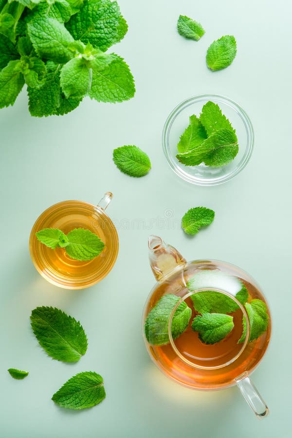 Mint Tea with Fresh Mint Leaves on Green Background. Flat Lay, Top View ...