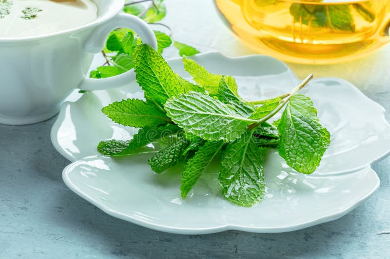 Mint Tea. Fresh Peppermint Leaves with a Cup and a Tea Pot Stock Photo ...
