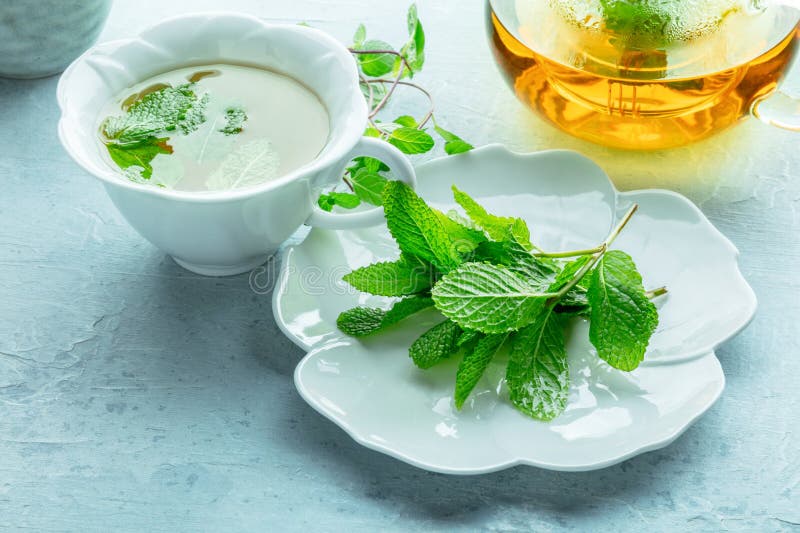 Mint Tea. Fresh Peppermint Leaves with a Cup and a Teapot Stock Image ...