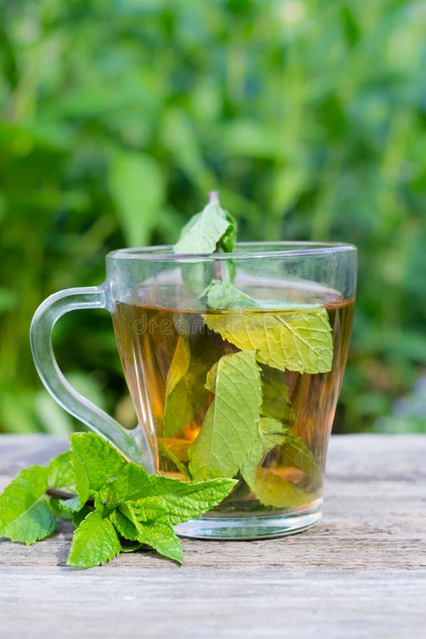 Mint tea stock photo. Image of fresh, table, drink, sprigs - 221330872