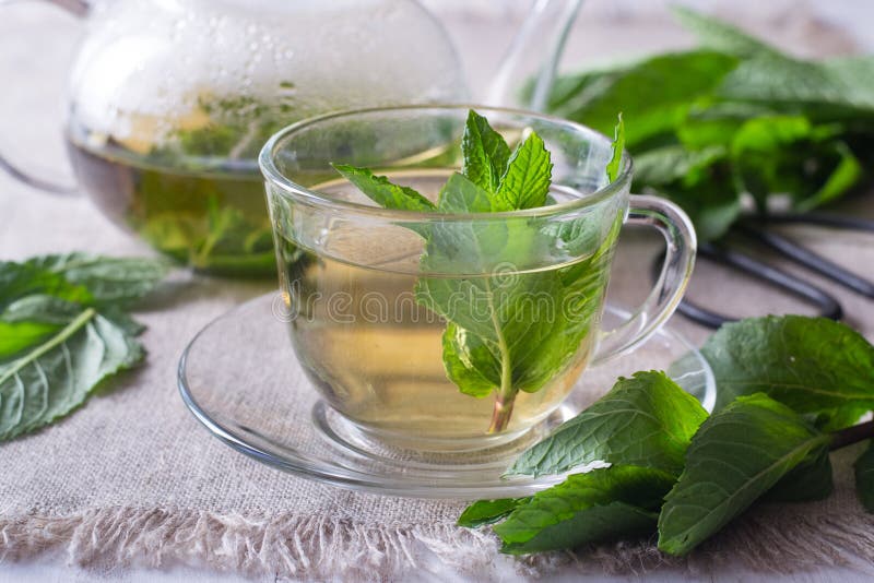 Mint tea stock photo. Image of beverage, fresh, closeup - 193499966