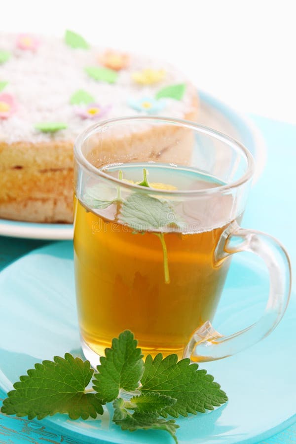 Mint tea stock photo. Image of healthy, herb, green, beauty - 31083088
