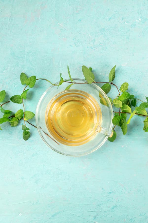 Mint Tea in a Transparent Cup, Top Shot on a Blue Background with Fresh ...