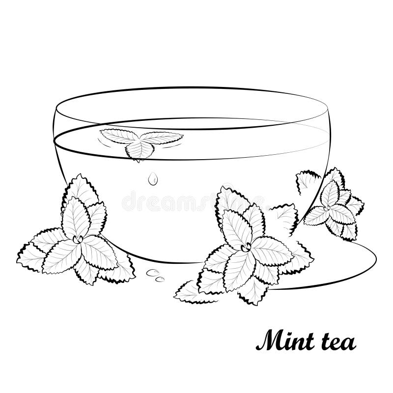 Mint Tea Vector Black Outline. a Cup of Mint Tea only Black Lines ...