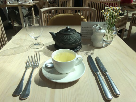 Mint tea editorial photo. Image of wallace, restaurant - 70877026