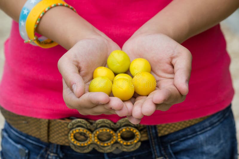 Mirabelle stock image. Image of fresh, diet, healthy - 25607207