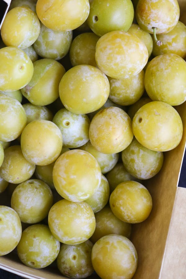 Mirabelle plum. stock photo. Image of eating, food, health - 127926708