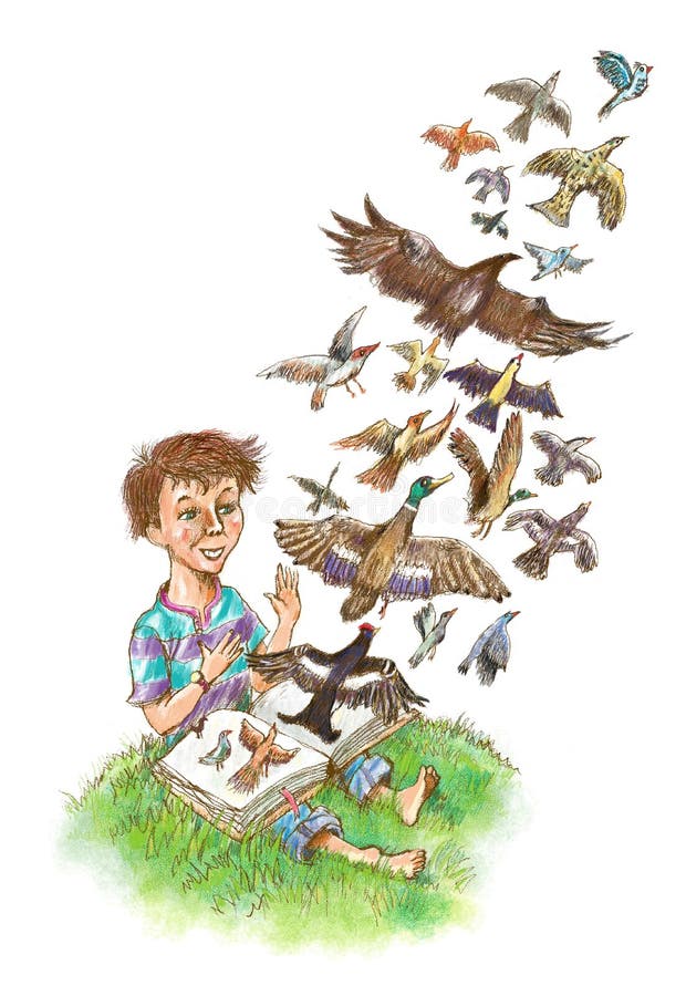 Miracle. Birds Fly from the Book Stock Illustration - Illustration of ...