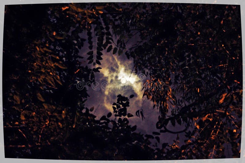 Miracle stock photo. Image of miracle, night, gold, moon - 43443110