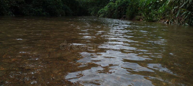 A Miracle in the Water in the Maldives, Barbed Fish Traveling on the ...