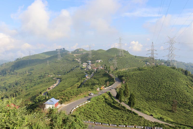 Mirik phuguri tea garden stock photo. Image of phuguri - 250788178