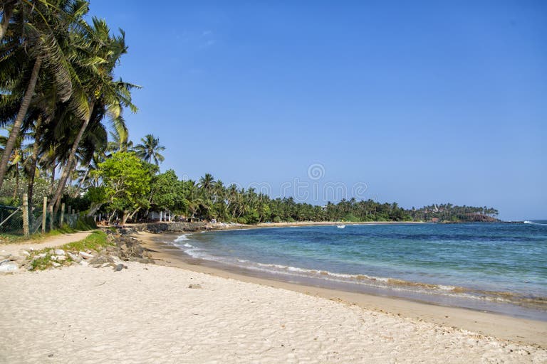 Mirissa beach at Sri Lanka stock image. Image of beach - 38019007
