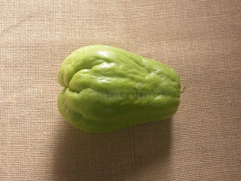 Mirliton Squash a Pear Shaped Vegetable Also Known As ChoCho Stock ...