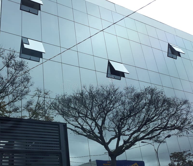 Mirror in building stock photo. Image of trees, modern - 128697986