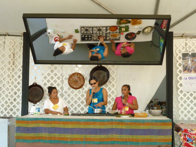 Mirror Image editorial stock image. Image of demonstration - 15029114