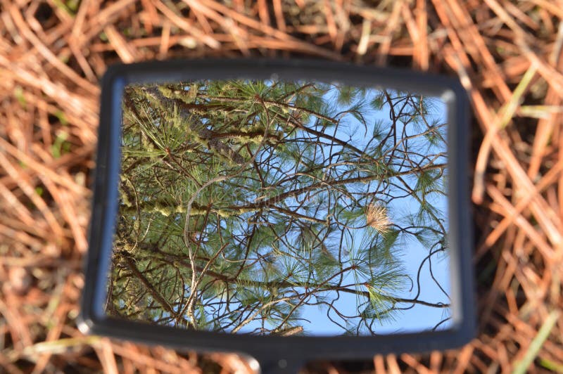 Mirror image of sky stock image. Image of abstarct, ground - 62162391