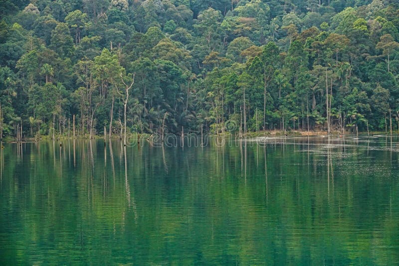 Mirror Lake Near the Dene Green Forest Stock Image - Image of calmness ...