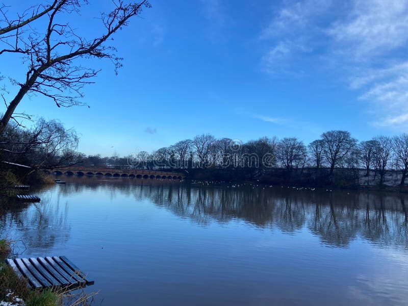 Mirror-like Pond with a Reflection of Skies Surrounded by Bare Trees ...