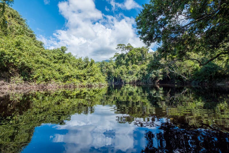 Amazon River Reflections, Venezuela Stock Image - Image of jungle ...