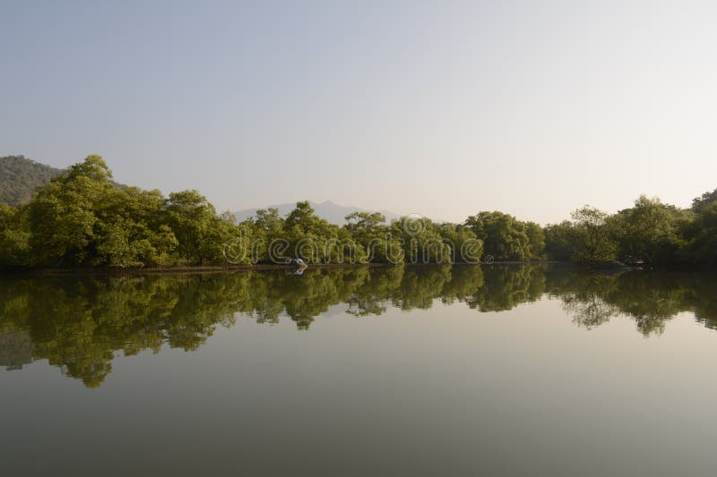 Mirror of Nature: Tranquil Pond Reflecting Wild Beauty Stock Photo ...