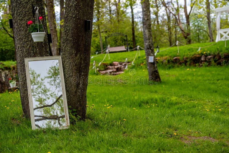 Mirror in an Old Frame Left Against a Tree in a Green Forest, Wedding ...