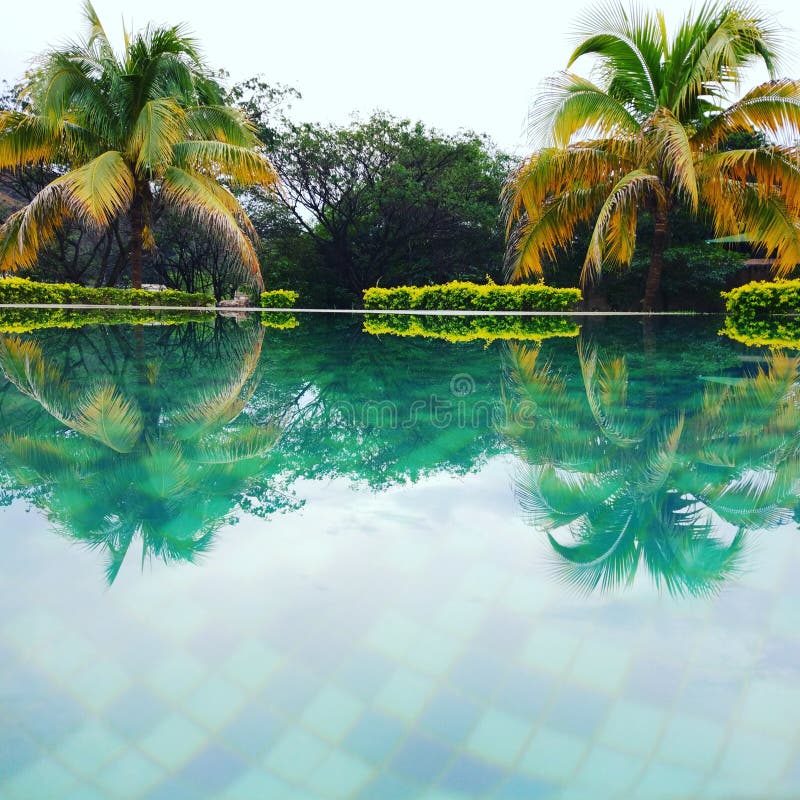Mirror stock photo. Image of amazing, beach, pool, tropical - 133894418