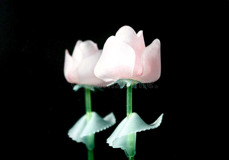 Mirror Reflection Beautiful Plastic Flowers Stock Photos - Free ...