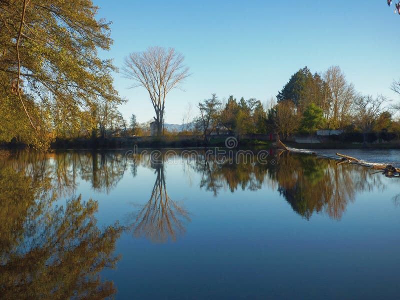 Mirror river stock image. Image of nalural, leaf, green - 207127199