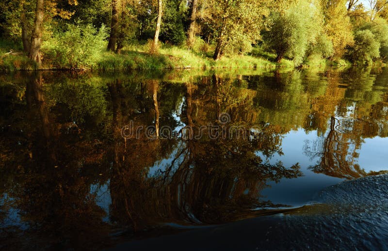 Mirror on the river stock image. Image of tree, bush - 100004309