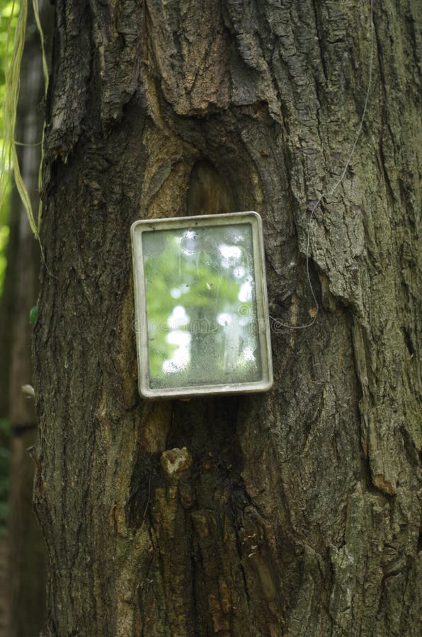 Mirror on a tree stock image. Image of shave, camping - 55236245