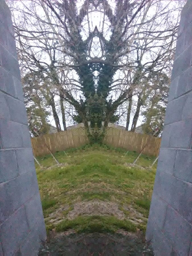 Mirror trees and wall stock image. Image of wall, rock - 244664651