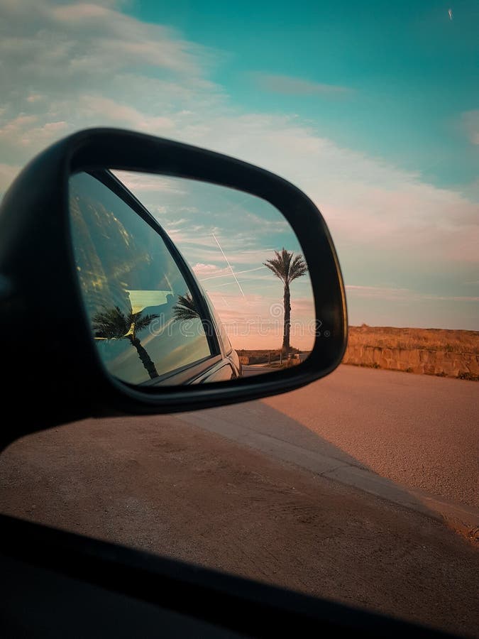 Mirror view stock photo. Image of view, palmtree, beach - 142846244