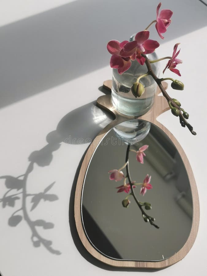 Mirror, Mirror on the Wall, Who S the Fairest of Them All? Stock Photo ... Mirror, Mirror on the Wall, Who S the Fairest of Them All? Stock Photo ...