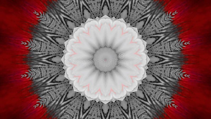 Mirrored Effect of an Iris Flower Stock Illustration - Illustration of ...