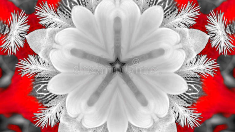 Mirrored Effect of an Iris Flower Stock Illustration - Illustration of ...