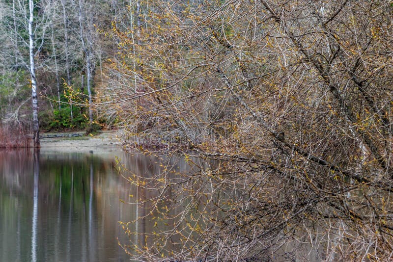 Mirrored lake bank stock image. Image of fishing, reflection - 116387465