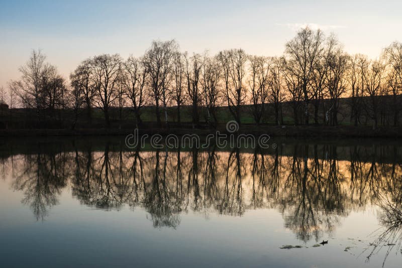 Mirroring of Trees that Grown Near Pond on Sunset Stock Image - Image ...