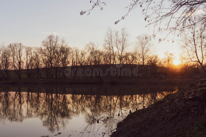 Mirroring Trees Grown Near Pond Sunset Stock Photos - Free & Royalty ...