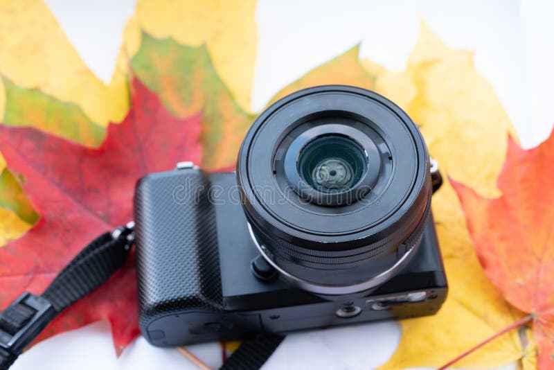 Mirrorless Small Camera an Autumn Maple Leaves Stock Photo - Image of ...