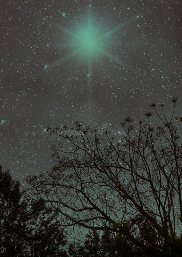Mirrors of Stars between Long and Infinite Branches Stock Image - Image ...