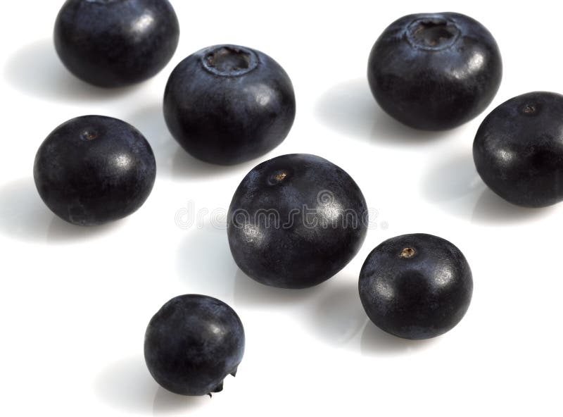 Mirtilos Mirtilos De Mirtilos Ou Mirtilos De Mirtilos Contra Fundo ...